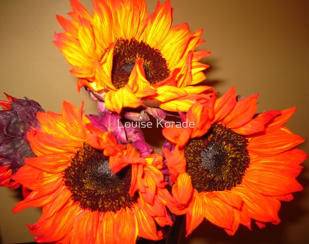 "African Sunflower" by Louise Korade | Redbubble