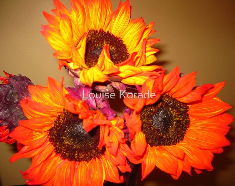 "African Sunflower" by Louise Korade | Redbubble