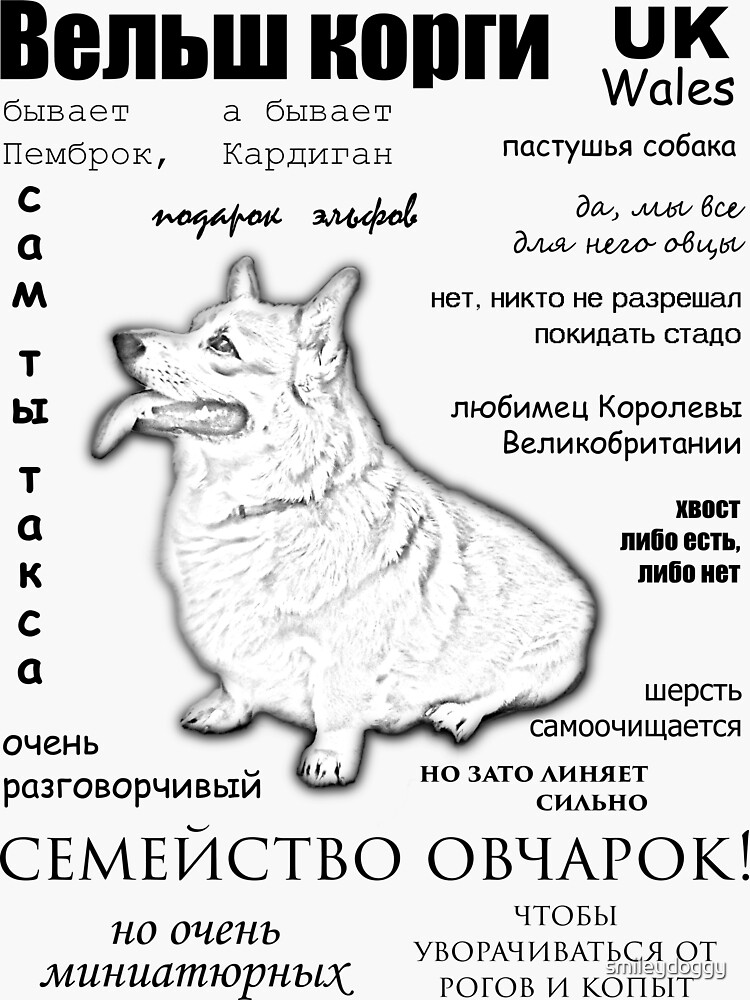 "Corgi. FAQ. Russian Edition" Sticker by smileydoggy | Redbubble