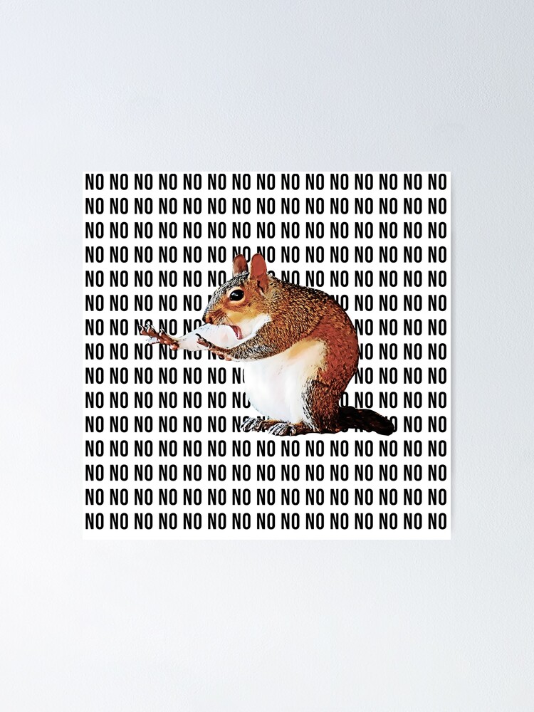 "stressed squirrel" Poster by Lazzarini00 | Redbubble