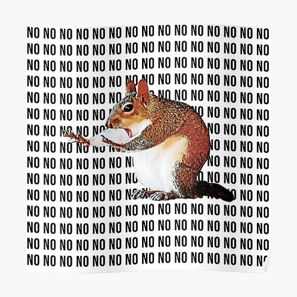 "stressed squirrel" Poster by Lazzarini00 | Redbubble