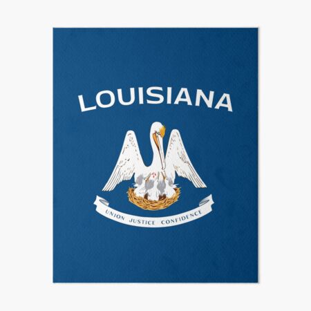 "STATE OF LOUISIANA FLAG -- THE PELICAN STATE" Art Board Print by ...