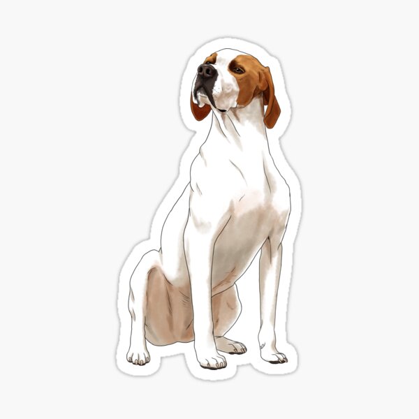 "Sitting English Pointer Dog" Sticker for Sale by alwe-designs | Redbubble