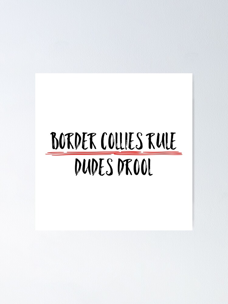 "Border Collies Rule Dudes Drool Funny Quote" Poster by AMSonArt ...