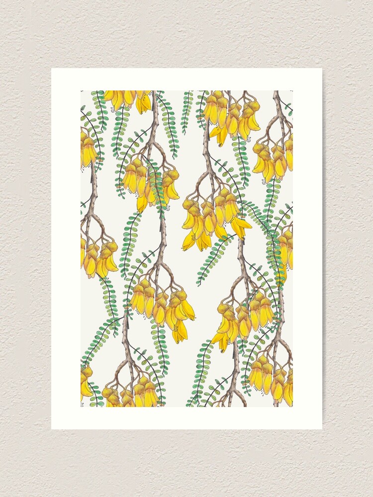 "Kowhai" Art Print for Sale by smukdesign | Redbubble
