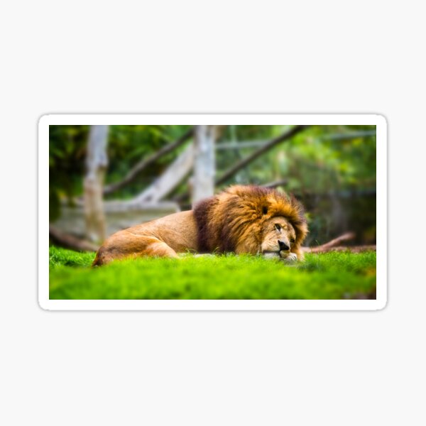 "Bedtime" Sticker for Sale by Rasletaz | Redbubble