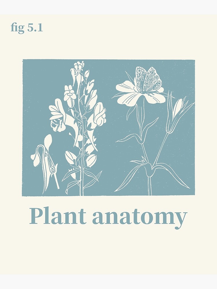 "Plant Anatomy" Poster by AladdinMktgs | Redbubble
