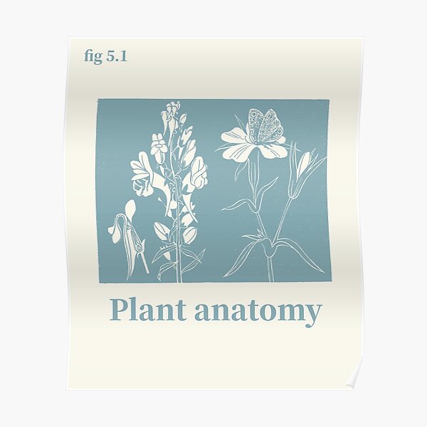 "Plant Anatomy" Poster by AladdinMktgs | Redbubble