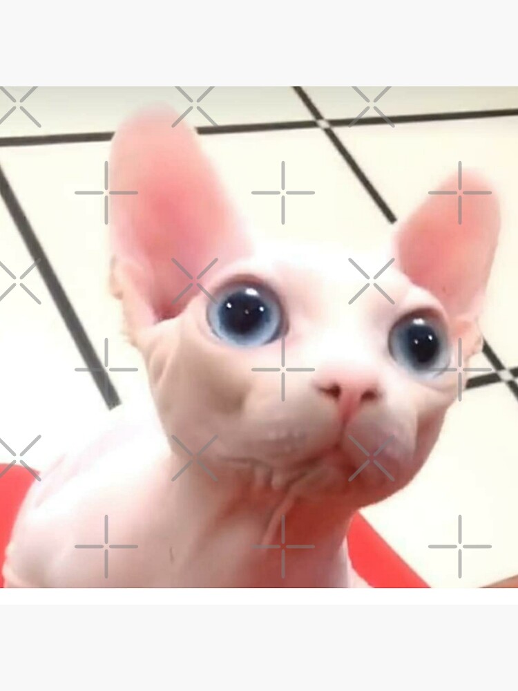 "bingus pillow" Throw Pillow for Sale by mcbingus | Redbubble