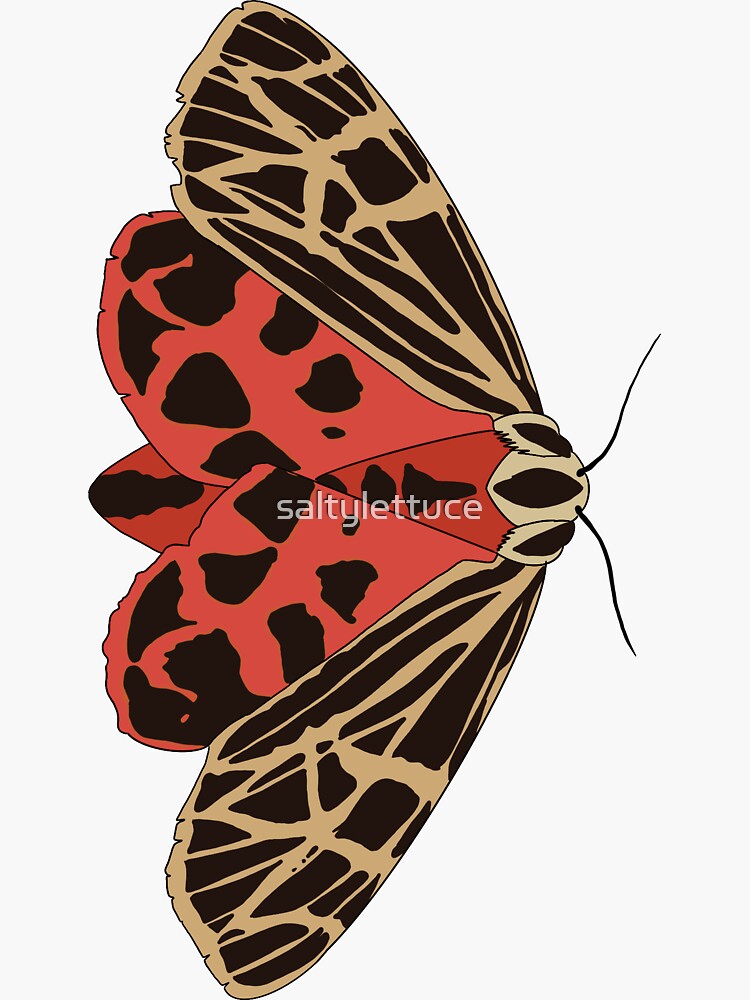 "Pink moth " Sticker by saltylettuce | Redbubble