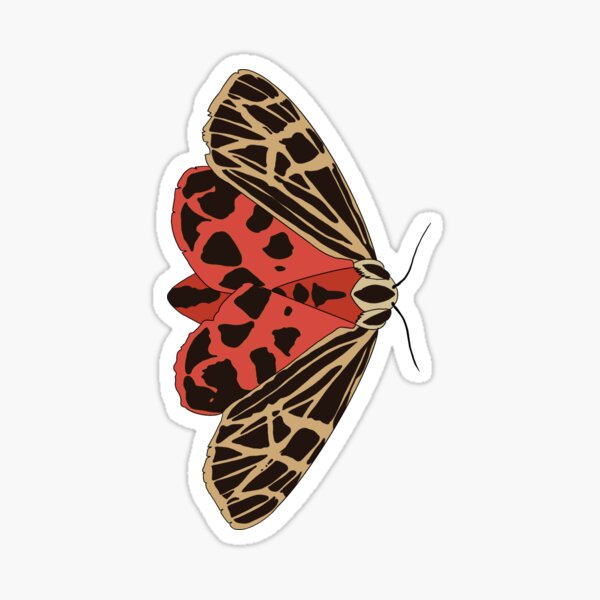 "Pink moth " Sticker by saltylettuce | Redbubble