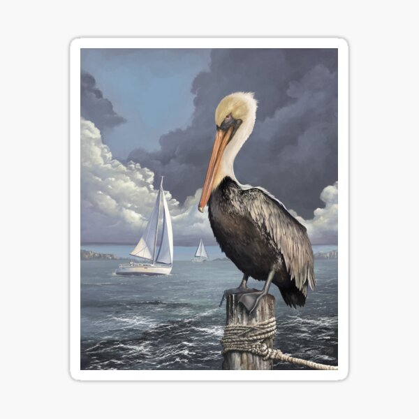 "Pelican" Sticker for Sale by powersdesign | Redbubble