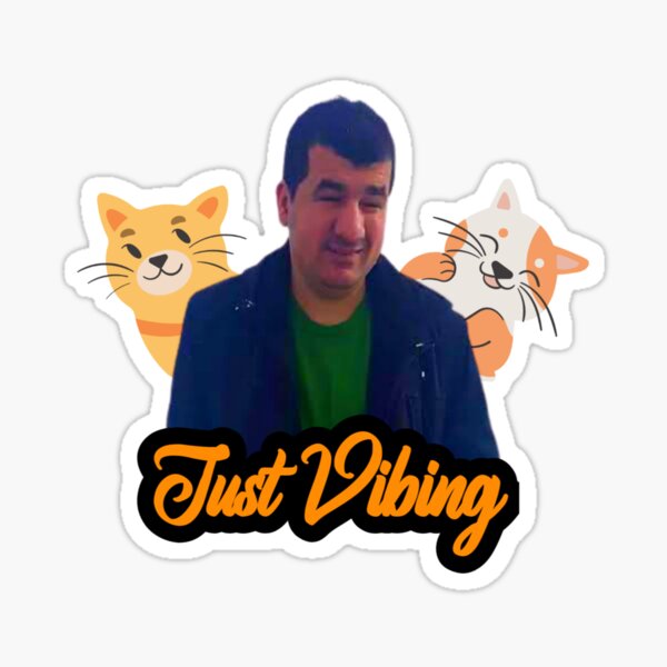 "Just vibing sticker" Sticker for Sale by inspiredtees24 | Redbubble
