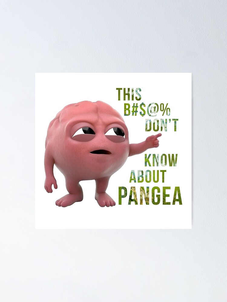 "Lil Dicky Brain This B#$@% Don't Know About Pangea" Poster by ...