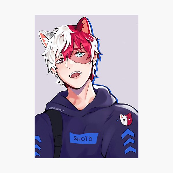 Todoroki Cat Photographic Prints | Redbubble