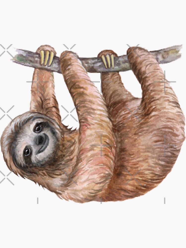 Sloth Merch & Gifts for Sale | Redbubble