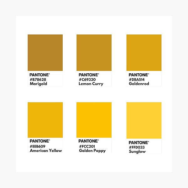 Lámina fotográfica «Paleta dorada muestra de color pantone» de ...