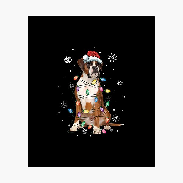 Lámina fotográfica «Divertido Papá Noel Boxer Árbol de luces navideñas ...