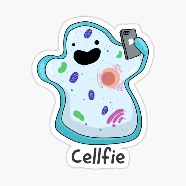 "Cellfie" Sticker for Sale by Han44 | Redbubble