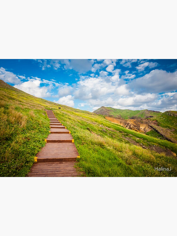 "Madeira" Sticker for Sale by HalinaJ | Redbubble