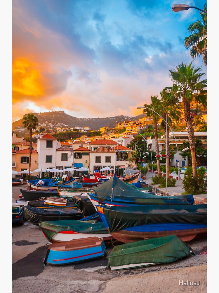 "Madeira" Sticker for Sale by HalinaJ | Redbubble