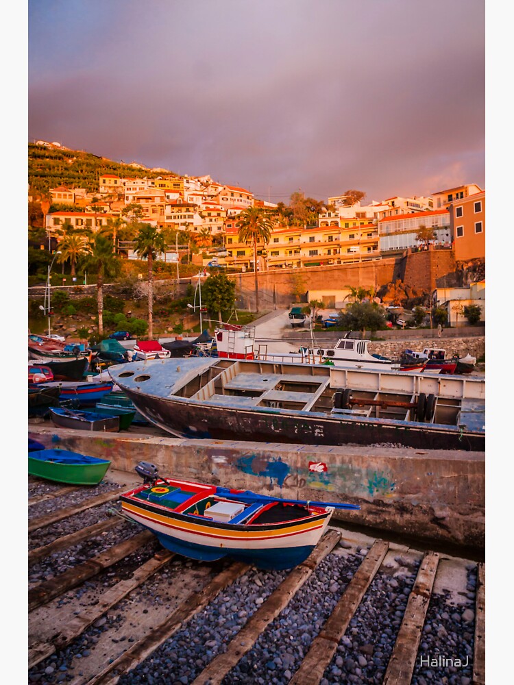 "Madeira" Sticker for Sale by HalinaJ | Redbubble