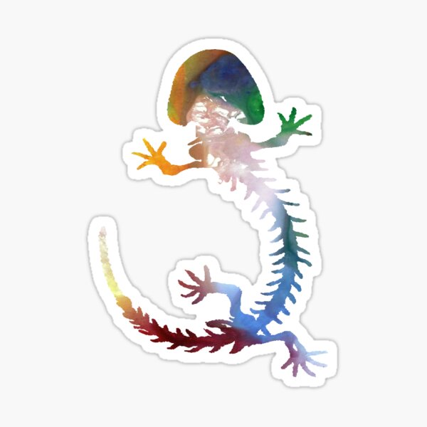 "Hellbender Skeleton" Sticker for Sale by MordaxFurritus | Redbubble
