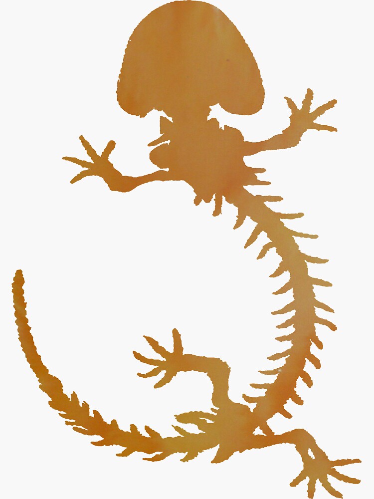 "Hellbender Skeleton" Sticker for Sale by MordaxFurritus | Redbubble