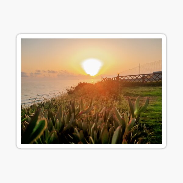 "Beach sunset summer holiday " Sticker by Otakugeneration | Redbubble