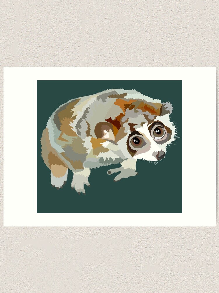 "Pygmy slow loris" Art Print by thezoogirl | Redbubble