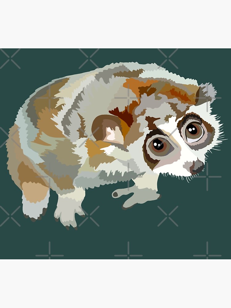 "Pygmy slow loris" Art Print by thezoogirl | Redbubble