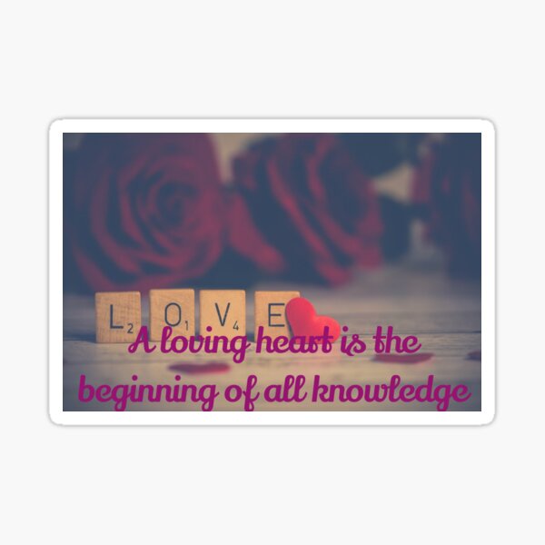 Salogen Gifts & Merchandise for Sale | Redbubble