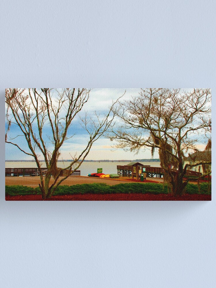 "Splash O' Color" Canvas Print for Sale by DonnaM | Redbubble