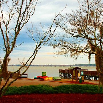 "Splash O' Color" Canvas Print for Sale by DonnaM | Redbubble