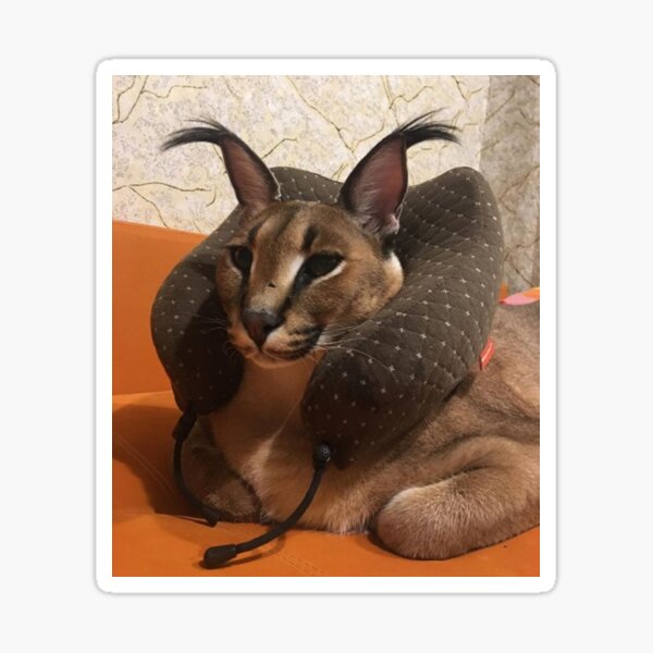 Big Floppa Gifts & Merchandise | Redbubble