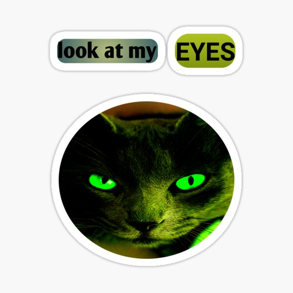 "Attractive cat eyes" Sticker for Sale by Alpha5 | Redbubble