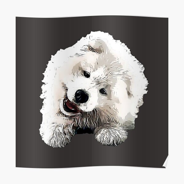 "Samoyed Cutest Head Tilt" Poster by Elarex | Redbubble