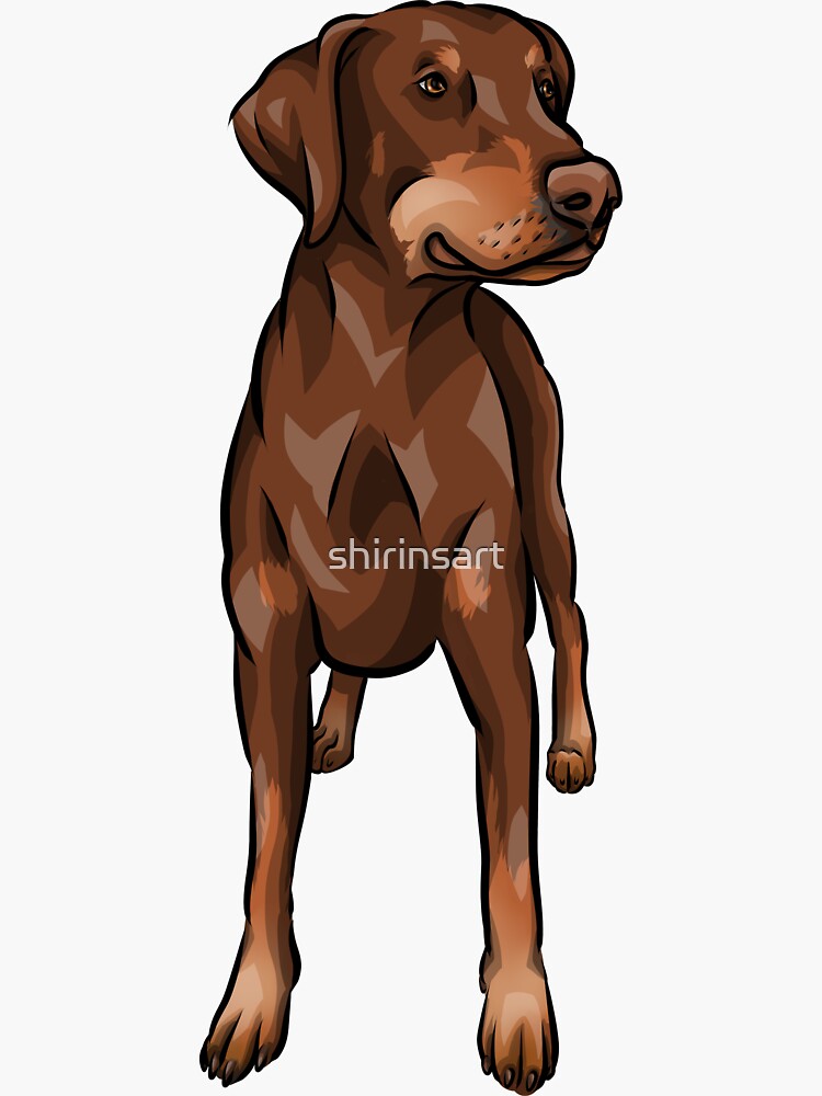 "Chocolate | Red Doberman | Natural Ear | Cute Cartoon Dog Art" Sticker ...