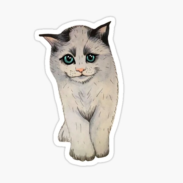 "Adorable Ragdoll cat sticker" Sticker by Littlemoliart | Redbubble