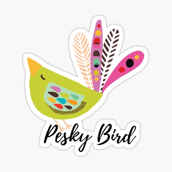 "PESKY BIRD" Sticker for Sale by shankri | Redbubble