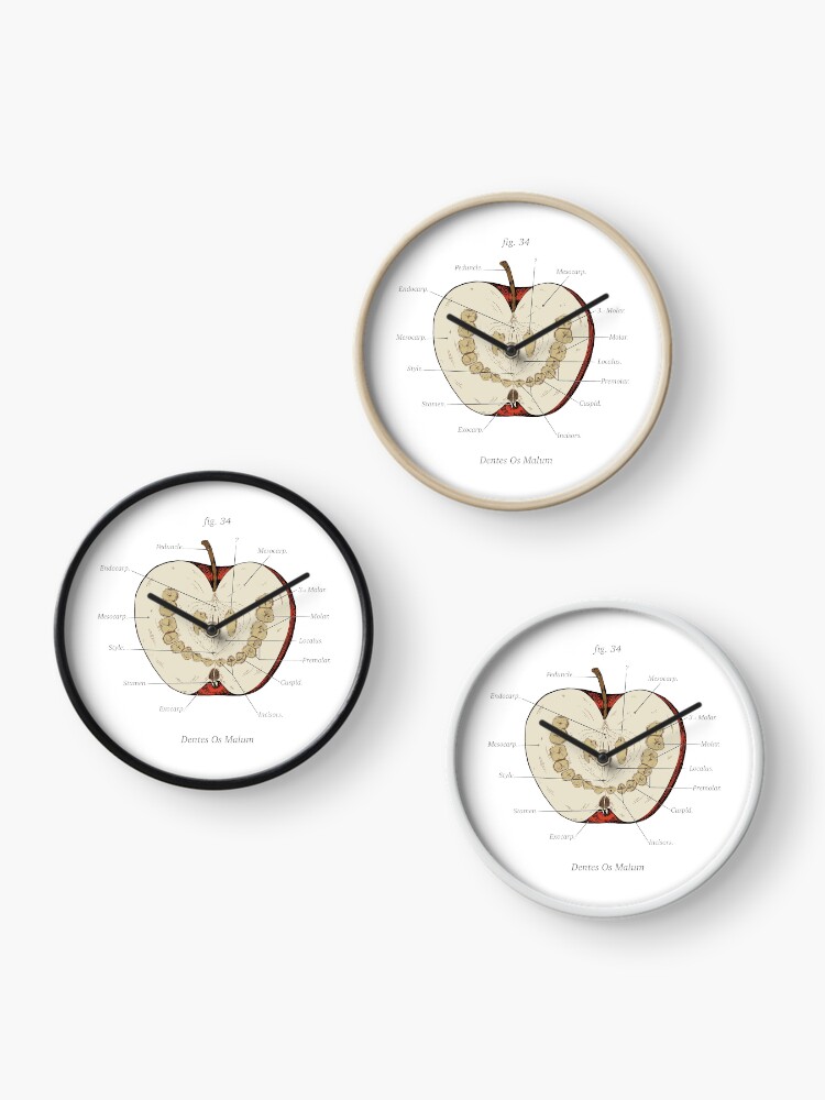 "The Magnus Archives - Anatomy Class - Teeth Apple" Clock for Sale by ...