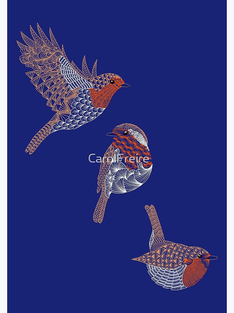 "Three little Robin Birds Zentangle Graphic pattern- blue background ...