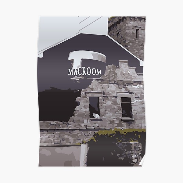 "Macroom Mural" Poster for Sale by dms91 | Redbubble