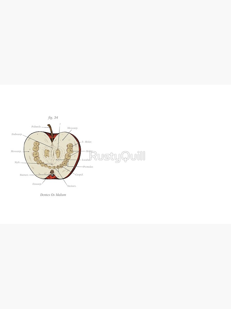 "The Magnus Archives - Anatomy Class - Teeth Apple" Coffee Mug for Sale ...