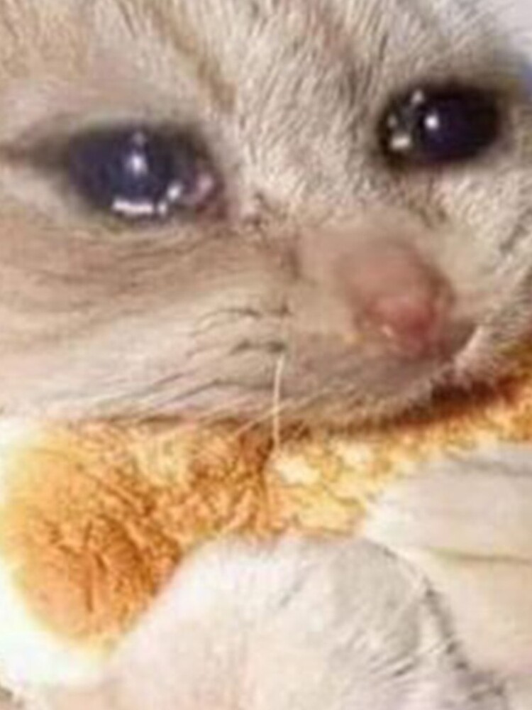 "Crying cookie cat meme, funny meme," iPhone Case for Sale by ...