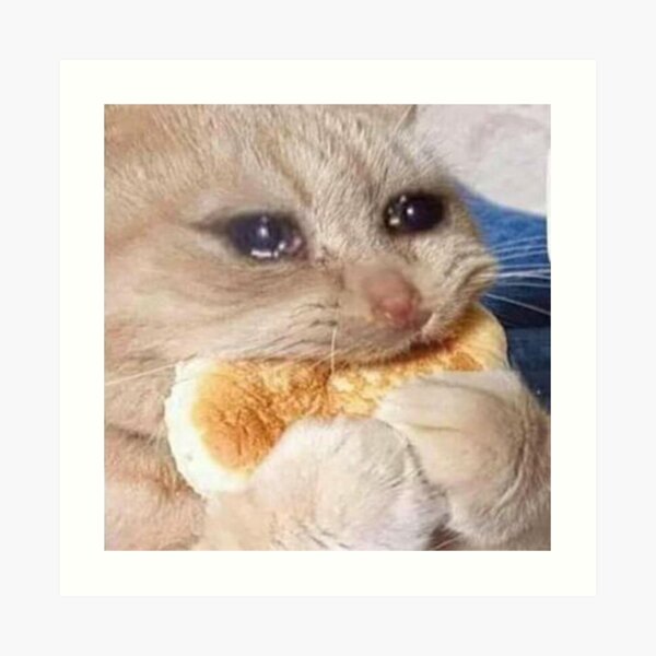"Crying cookie cat meme, funny meme," Art Print by ElevenGraphics ...