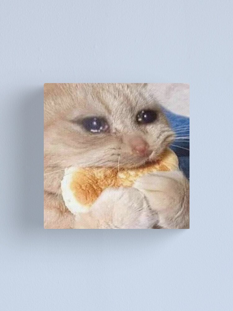 "Crying cookie cat meme, funny meme," Canvas Print for Sale by ...
