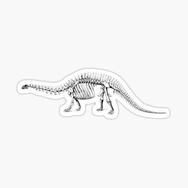 "A skeleton of Brontosaurus" Sticker for Sale by EnjoyRiot | Redbubble