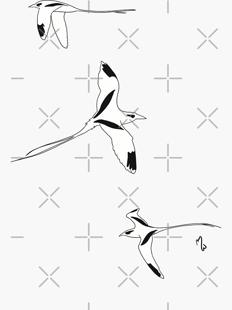 Sticker « Oiseaux pailles en queue île de la réunion », par Emyria | Redbubble