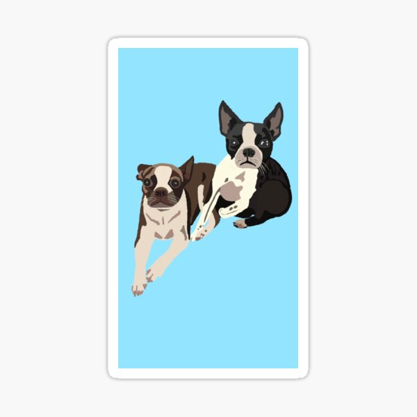 "Boston Terriers" Sticker for Sale by adyang27 | Redbubble